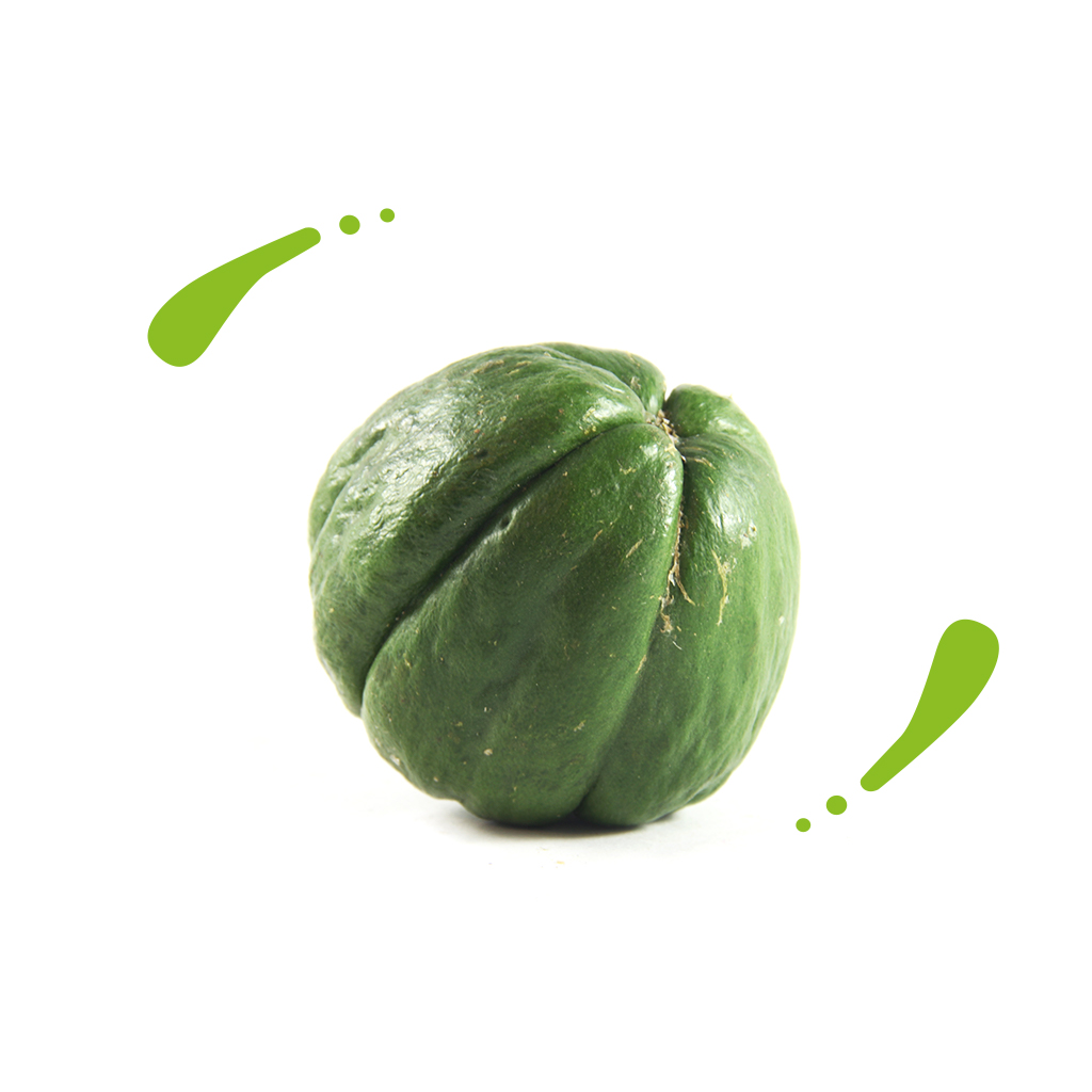 Guatila x libra - Escarola Alimentos Orgánicos en Bogotá