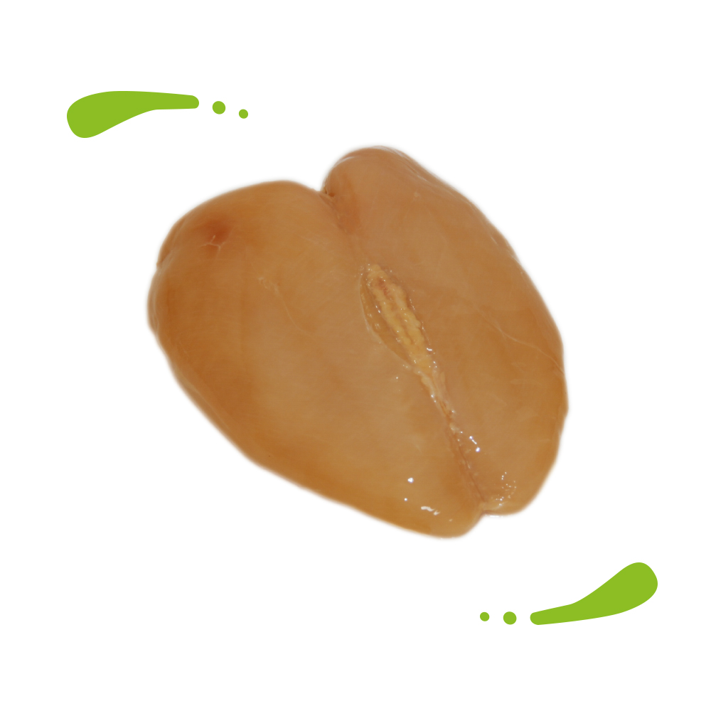 Pollo orgánico (Presa sin piel - pechuga) x 950 grs apróx - Escarola ...